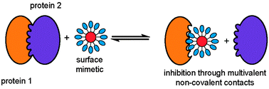 Metal complexes as “protein surface mimetics” - Chemical Communications ...