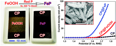 Facile synthesis of iron phosphide nanorods for efficient and durable ...