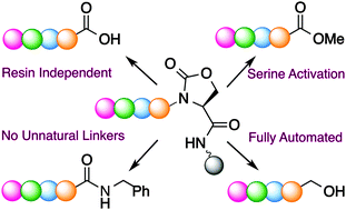 Fmoc solid-phase synthesis of C-terminal modified peptides by formation ...
