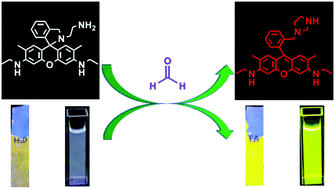 An ultra-fast illuminating fluorescent probe for monitoring ...