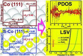 The surface sulfur doping induced enhanced performance of cobalt ...