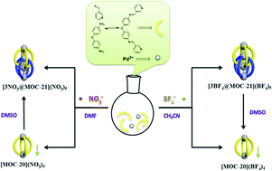 Solvent- and anion-induced interconversions of metal–organic cages ...
