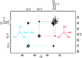 Insight into the formation of the tert-butyl cation confined inside H ...