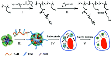An intracellular protein delivery platform based on glutathione ...