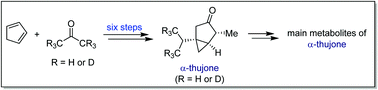 A six-step total synthesis of α-thujone and d6-α-thujone, enabling ...