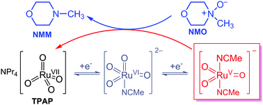N-Oxides rescue Ru(v) in catalytic Griffith–Ley (TPAP) alcohol ...