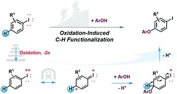 para-Selective C–H bond functionalization of iodobenzenes - Chemical Communications (RSC Publishing)