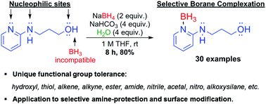 Amine–boranes bearing borane-incompatible functionalities: application ...