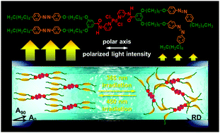A photo-responsive metallomesogen for an optically and electrically ...