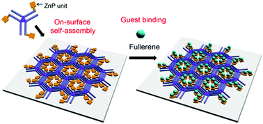 Construction of cyclic arrays of Zn-porphyrin units and their guest ...
