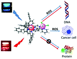 Exploring the activity of a polyazine bridged Ru(ii)–Pt(ii ...