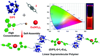 Novel rare earth fluorescent supramolecular polymeric assemblies ...