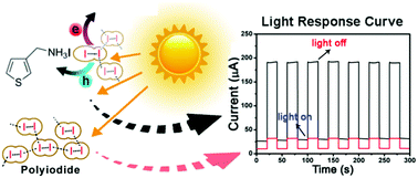 An unusual photoconductive property of polyiodide and enhancement by ...