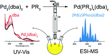 Real-time analysis of Pd2(dba)3 activation by phosphine ligands ...