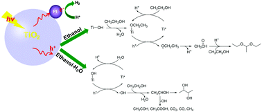 A site-holding effect of TiO2 surface hydroxyl in the photocatalytic ...