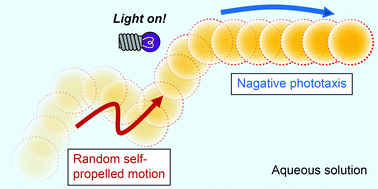 Phototactic behavior of self-propelled micrometer-sized oil droplets in ...