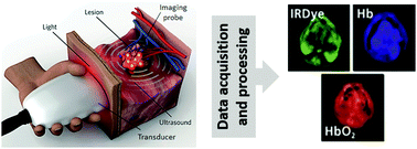 Molecular imaging probes for multi-spectral optoacoustic tomography ...