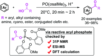 Acyl Phosphate Functional Group