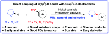 Coupling of C(sp3)–H bonds with C(sp2)–O electrophiles: mild, general and selective - Chemical ...