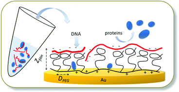 Sample-to-answer acoustic detection of DNA in complex samples ...