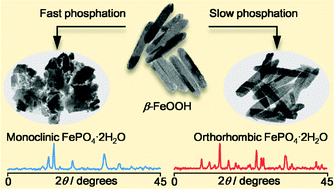 Iron phosphate hydrogen: eisen 2 phosphat formel – PBFF