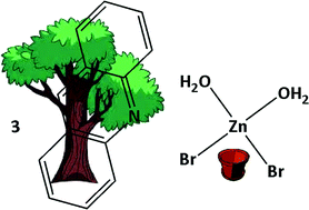 Structures and trends of neutral MXxsolvent4−x tetrahedra and anionic ...