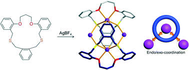 Macrocyclic isomer-dependent supramolecular silver(i) complexes via ...