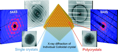 Polymorphism in nanoparticle-based crystals depending upon their single ...