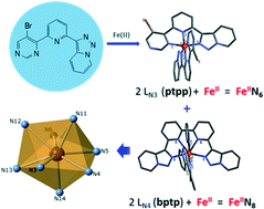 From six-coordinate to eight-coordinate iron(ii) complexes with ...