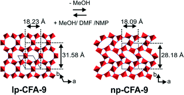 Flexible chiral pyrazolate-based metal–organic framework containing ...