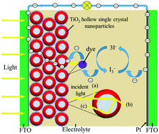 Anatase TiO2 single crystal hollow nanoparticles: their facile ...
