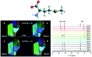 Understanding the single-crystal-to-single-crystal solid-state phase ...
