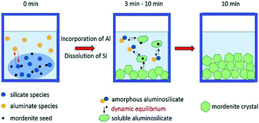 Ultrafast, OSDA-free synthesis of mordenite zeolite - CrystEngComm (RSC ...