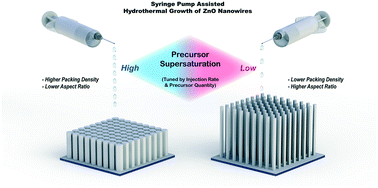 Hydrothermal growth of ZnO nanowire arrays: fine tuning by precursor supersaturation ...