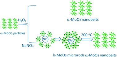 Crystal phase- and morphology-controlled synthesis of MoO3 materials ...