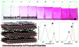 Strategies for modulating the luminescence properties of pyronin Y dye ...