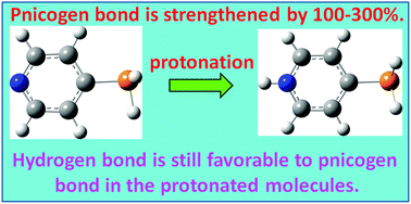 Influence of the protonation of pyridine nitrogen on pnicogen bonding ...