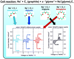 A comparative study on the impact of different glymes and their ...