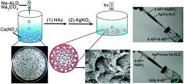 In situ pore-forming alginate hydrogel beads loaded with in situ formed ...