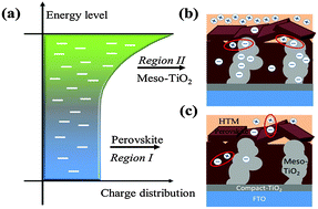 Mechanism of biphasic charge recombination and accumulation in TiO2 ...