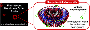 Sequential detection of multiple phase transitions in model biological ...