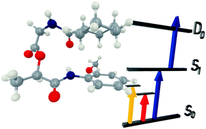 Structural investigations on a linear isolated depsipeptide: the ...
