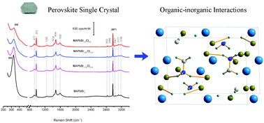 Organic–inorganic interactions of single crystalline organolead halide ...