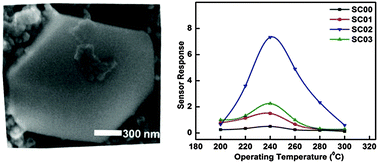 Enhanced CO gas sensing properties of Cu doped SnO2 nanostructures ...