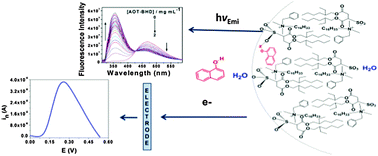 Electrochemical and photophysical behavior of 1-naphthol in benzyl-n ...