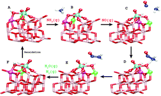The reaction mechanism for the SCR process on monomer V5+ sites and the ...
