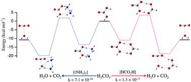 Ammonia as an efficient catalyst for decomposition of carbonic acid: a ...