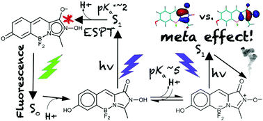 pH-Sensitive fluorophores from locked GFP chromophores by a non ...