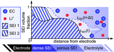 Dynamics and morphology of solid electrolyte interphase (SEI ...