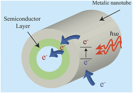 Theoretical analysis of hot electron injection from metallic nanotubes ...